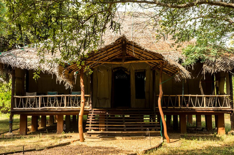 Culture Tour - Option II - Explore skills of local craftsmen (Winter ...